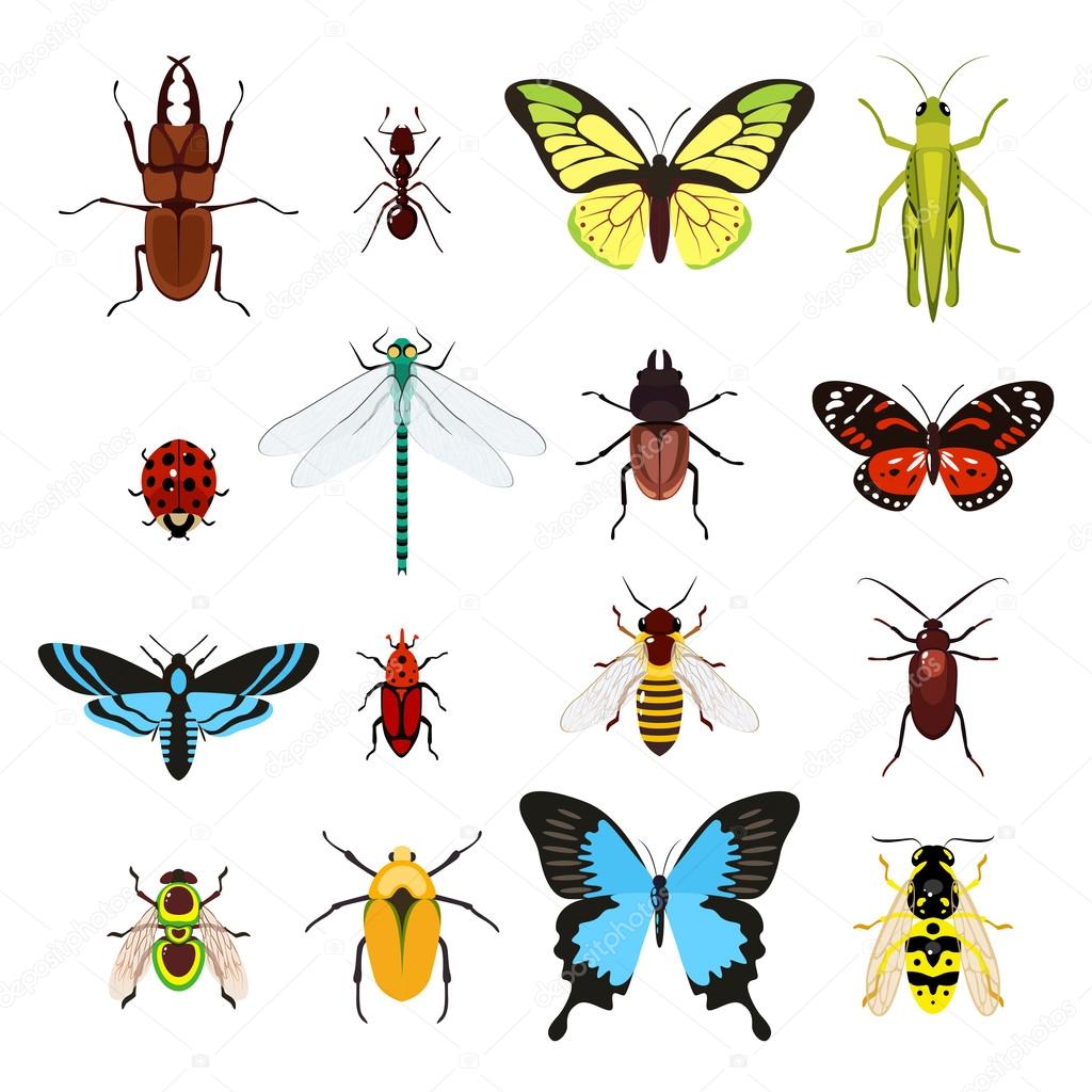 Insects icons set — Stock Vector © macrovector #57810709