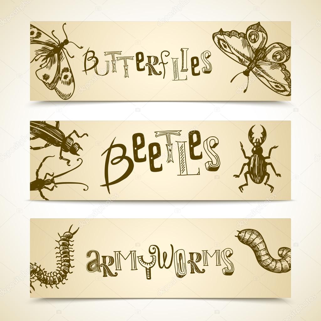 Insects banner set Stock Vector by ©macrovector 60326511