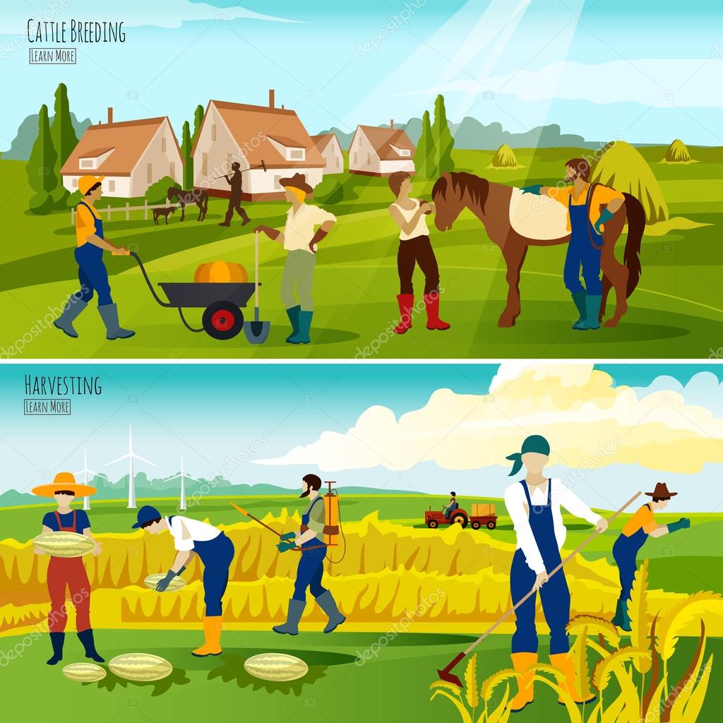 Agricultura rural 2 Banners planos Composición — Vector de stock ...