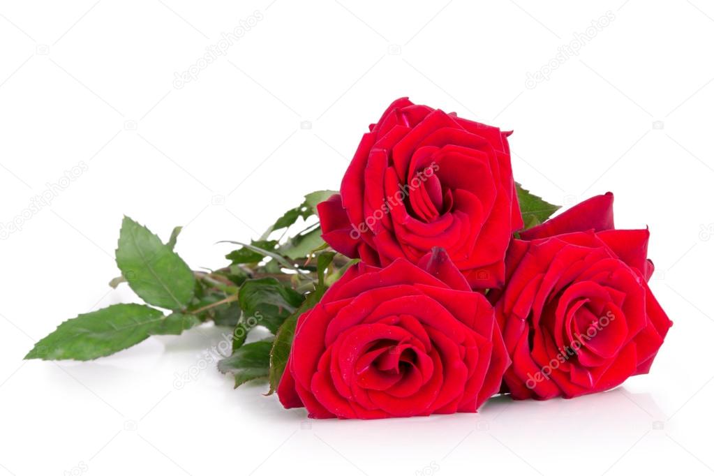 Tre rose rosse — Foto stock di © oleg17k #59093341