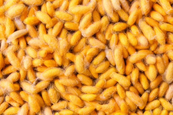 Thailand spin Stock Photos, Royalty Free Thailand spin Images ...