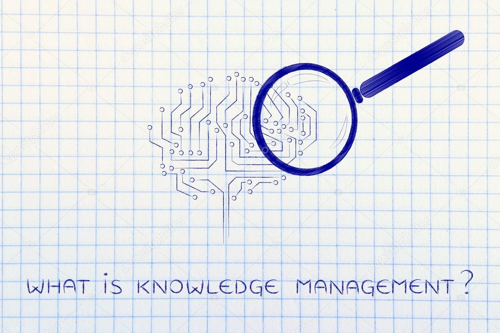 Knowledge Management Brain