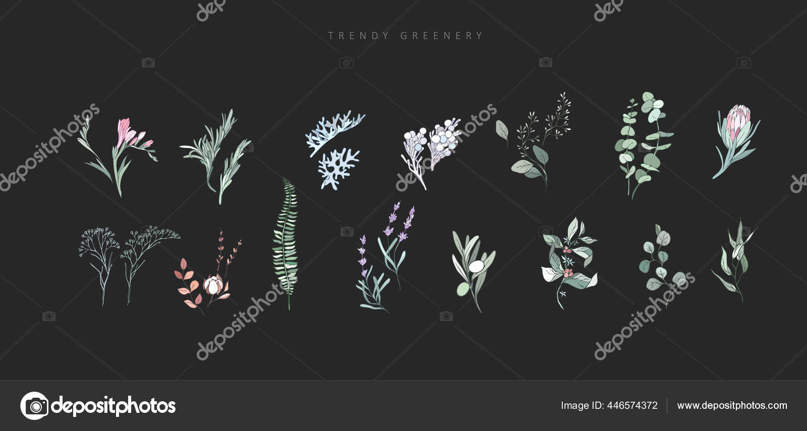 Floral Branch Hand Drawn Wedding Herb Plant Monogram Elegant Leaves Stock Vector by ©Merfin ...