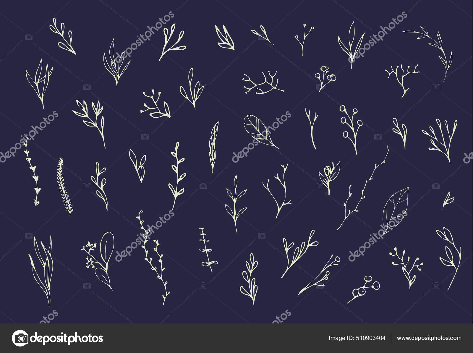 Floral branch. Hand drawn wedding herb, homeplant with elegant leaves for invitation save the ...