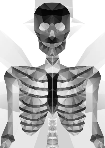 Xray Skeleton Images Stock Photos Vectors Shutterstock
