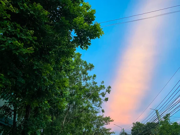 Bambu sky Stock Photos, Royalty Free Bambu sky Images | Depositphotos