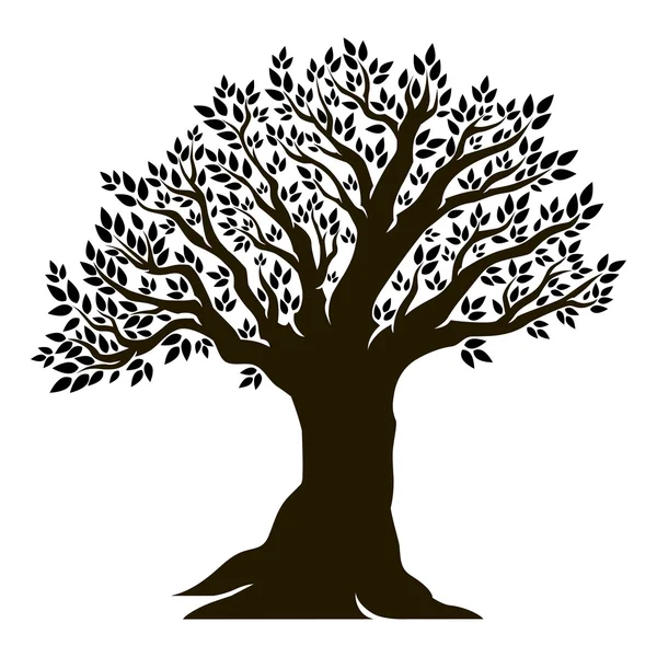 1,320 Old olive tree Vector Images, Royalty-free Old olive tree Vectors ...