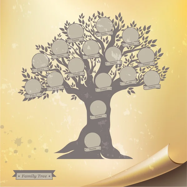 Hand drawn oak family tree — Stock Vector © GalaStudio #82678746