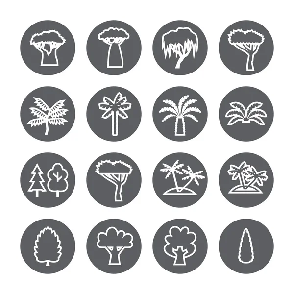Trees icon set. Silhouette. Shadow reflection. Vector set. Stock Vector ...