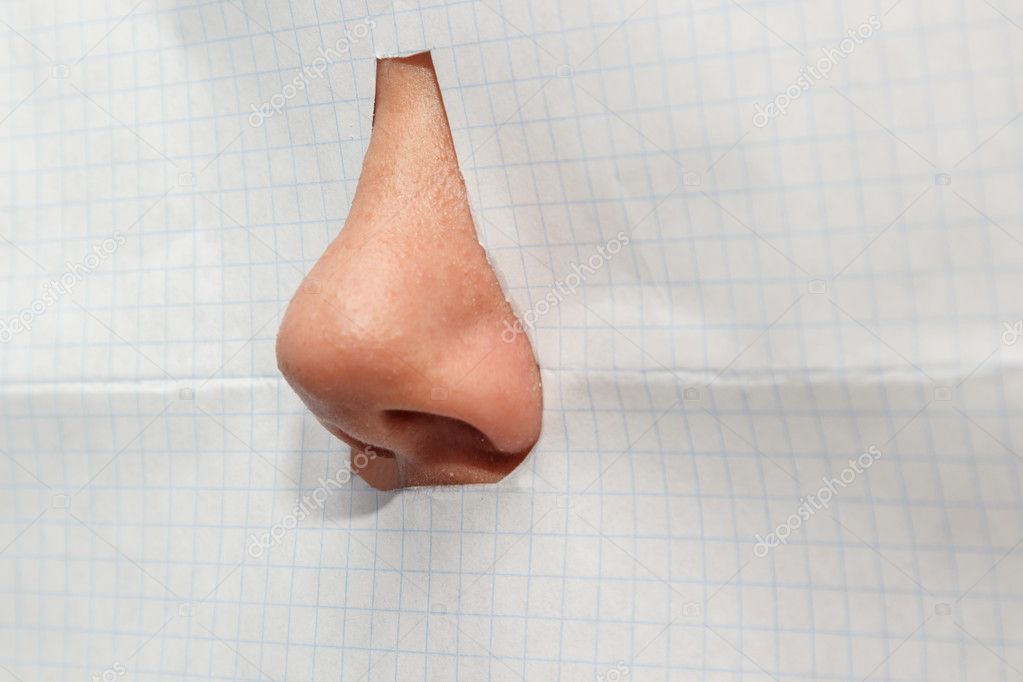 The nose isolated on a white background checkered Stock Photo by ...