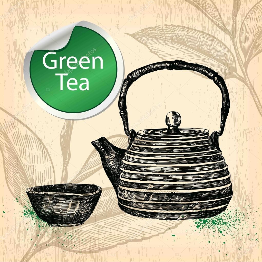 Vector hand drawn tea Stock Illustration by ©asyakuzmina #69344507