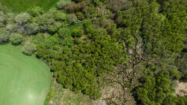 Aerial view of a wildlife corridor in tossa de mar spain images libres ...