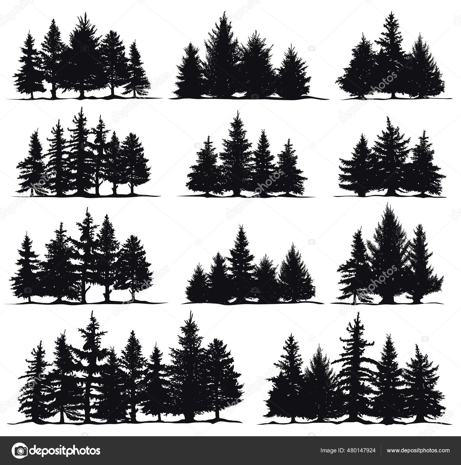 Evergreen Tree Line Silhouette