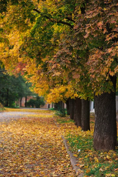 12 Forres Stock Photos, Forres Images | Depositphotos®