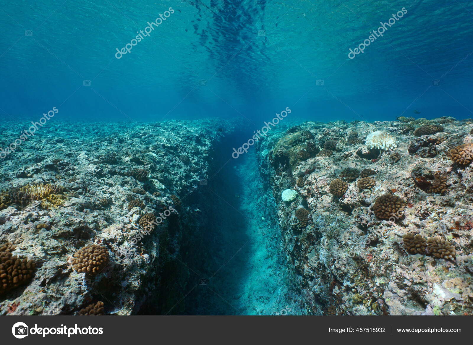 Rocky Ocean Floor