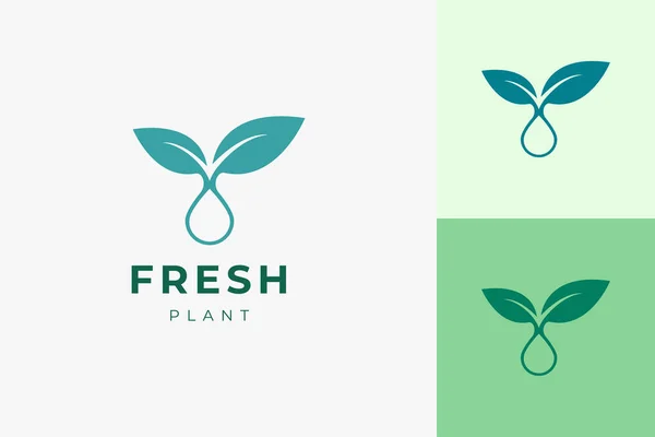 100,000 Growing plant logo Vector Images | Depositphotos