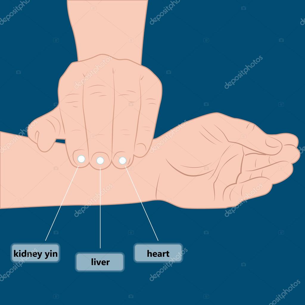 Method determining pulse Stock Vector Image by ©Alexandrus1 #112189210