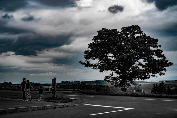 Seven Stars Tree Hokkaido Biei Cho Shooting Location Hokkaido Biei ...