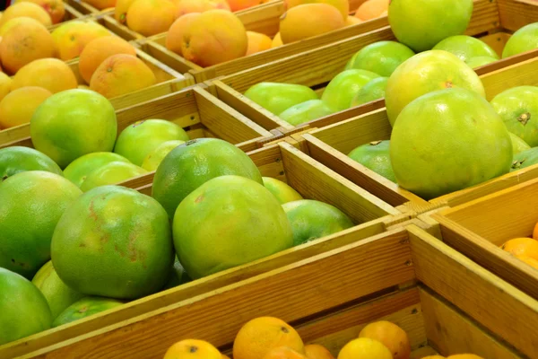 Different citrus in grocery store — Stock Photo © mariakarabella #57388401