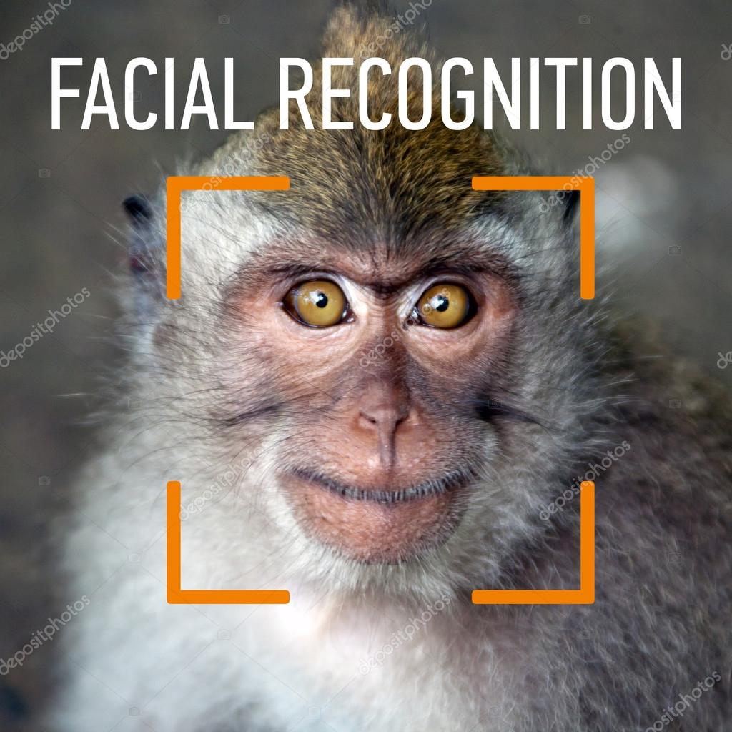 Cute monkey face — Stock Photo © watman #106115512