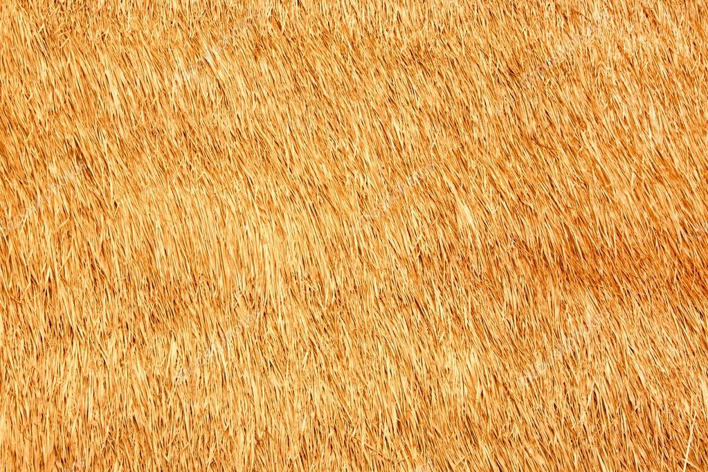 Textura de paja — Foto de stock #66531483 © watman