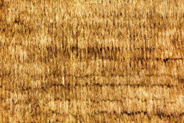 Thatch pattern Stock Photos, Royalty Free Thatch pattern Images ...