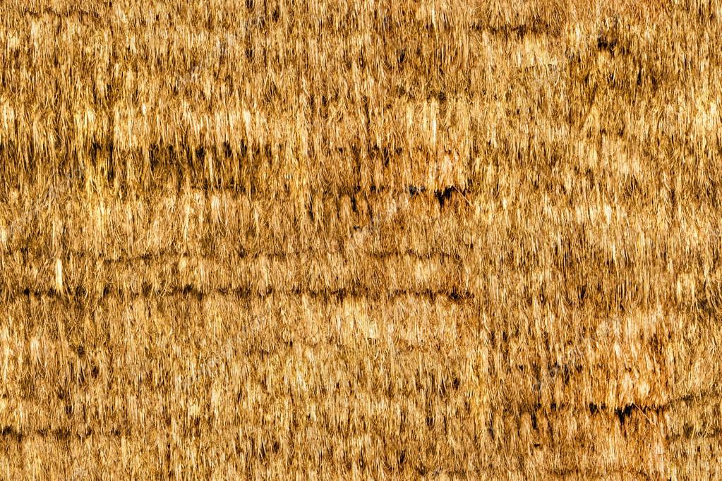 Seamless Thatch Texture