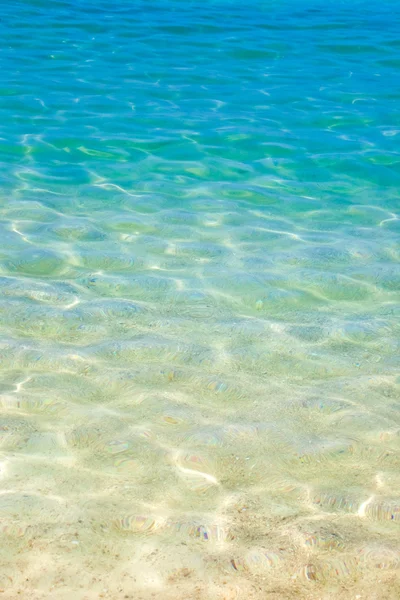 Shallow tropical water Stock Photos, Royalty Free Shallow tropical ...