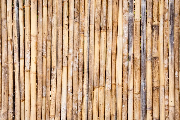 Bamboo wall texture ⬇ Stock Photo, Image by © watman #67614675