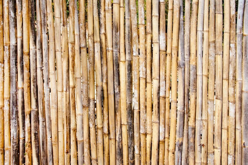 Bamboo wall texture ⬇ Stock Photo, Image by © watman #67614675