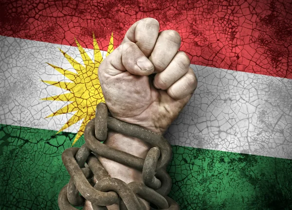 Segregation Stock Photos, Royalty Free Segregation Images | Depositphotos