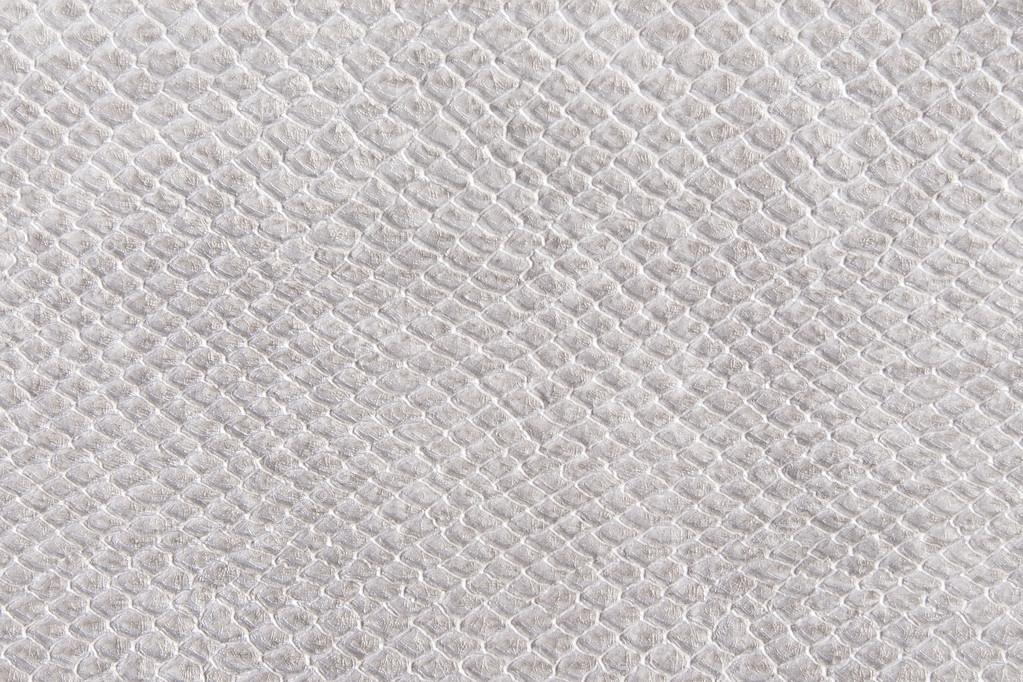 Reptile Skin Texture
