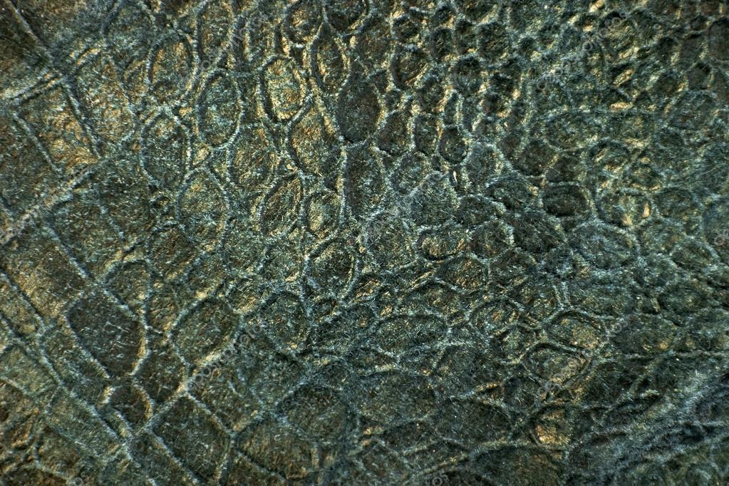 Reptile Skin