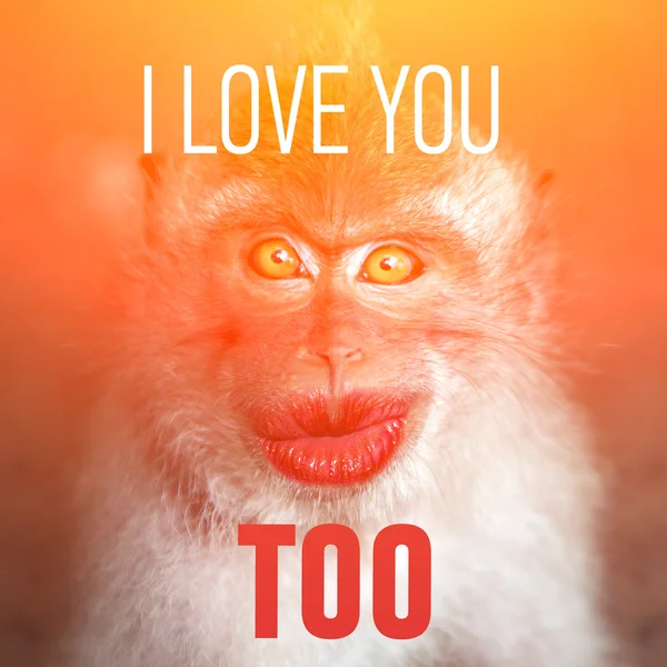 ᐈ Big lip animals stock photos, Royalty Free simien images | download ...