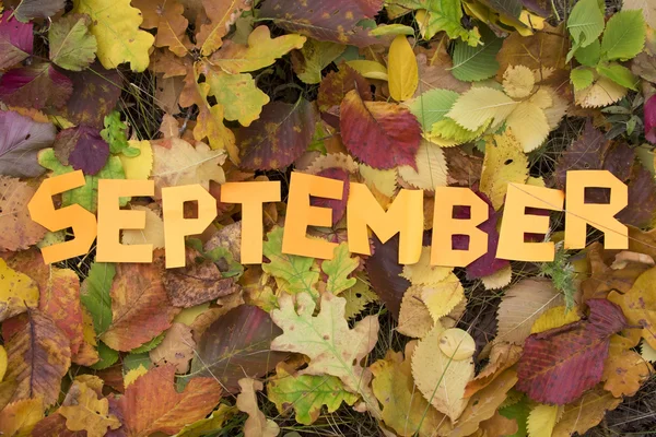 Beautiful september Stock Photos, Royalty Free Beautiful september ...