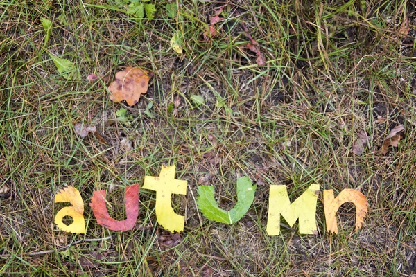 Imágenes de Sopa de letras del otoño, fotos de Sopa de letras del otoño ...