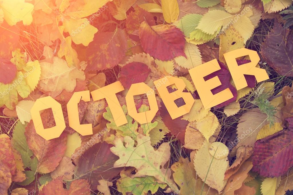 Word october cut out from paper — Stock Photo © watman #89727050