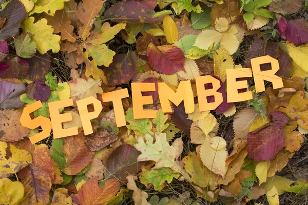 Beautiful september Stock Photos, Royalty Free Beautiful september ...