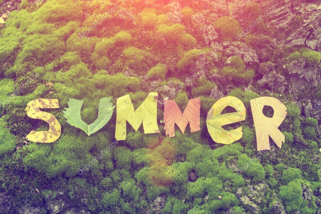 Word summer cut out from leaves — Stock Photo © watman #89730030