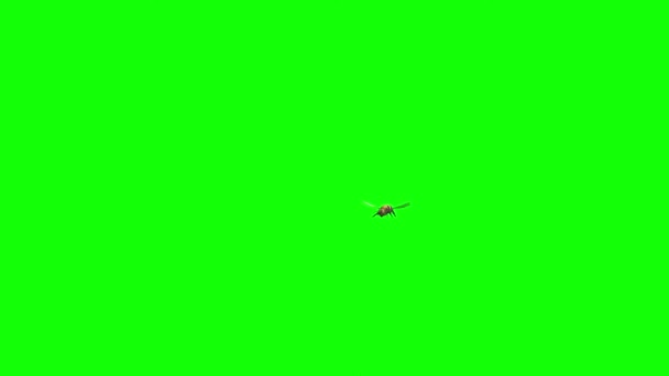 205 Bee green screen Videos, Royalty-free Stock Bee green screen ...
