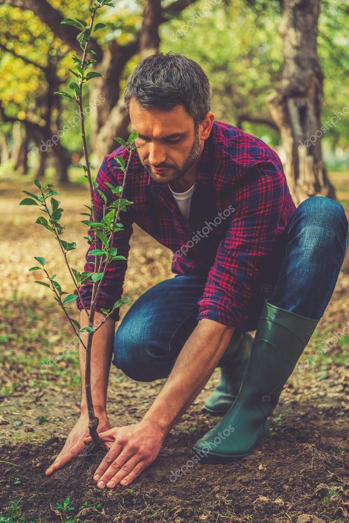 Young man planting tree in garden — Stock Photo © gstockstudio #83766196
