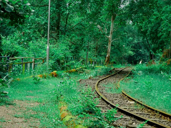 Indian train track Stock Photos, Royalty Free Indian train track Images ...