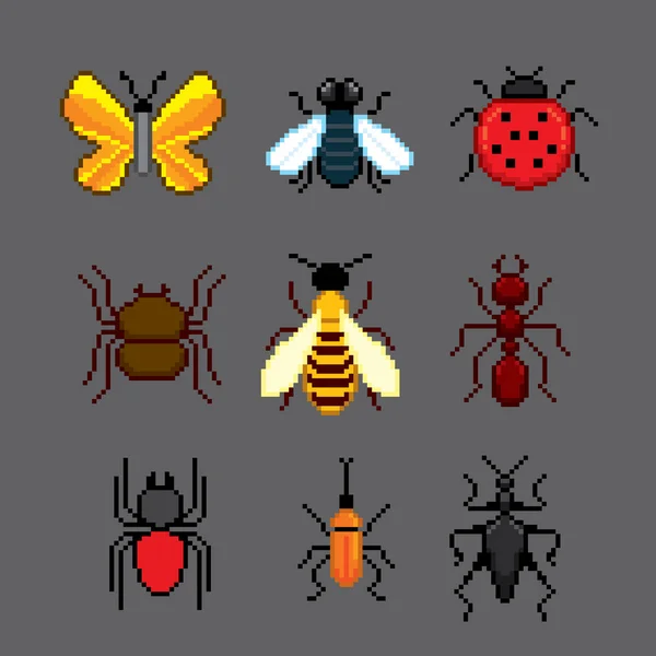 Updated version of vector insects - bugs and invertebrates — Stock ...