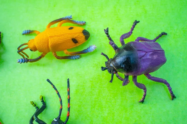 Bugs from above Stock Photos, Royalty Free Bugs from above Images ...