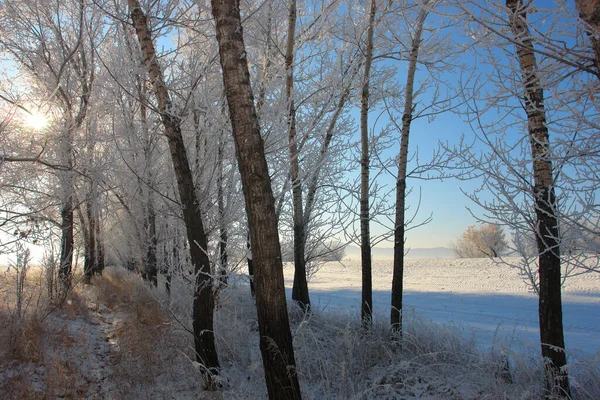 Beautiful december scenery Stock Photos, Royalty Free Beautiful ...