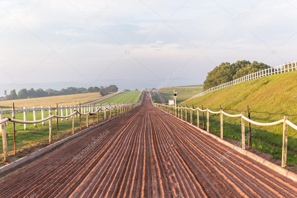 Horse Tracks In Sand