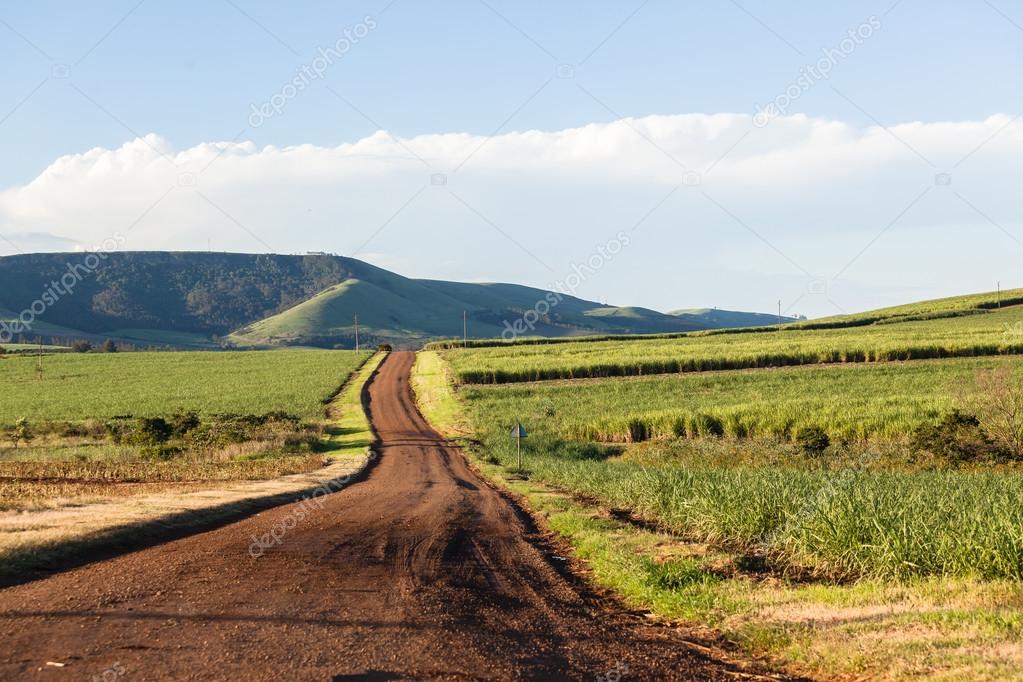 Farming Road Landscape Stock Photo by ©ChrisVanLennepPhoto 60865633