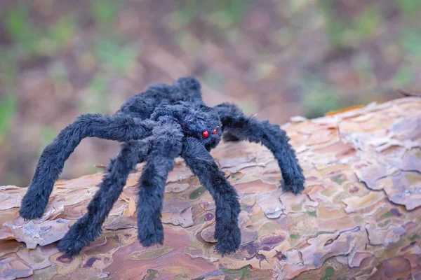 Senpai spider cape Stock Photos, Royalty Free Senpai spider cape Images ...