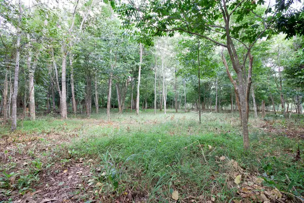 Dyrkningsareal Stock Photos, Royalty Free Dyrkningsareal Images ...