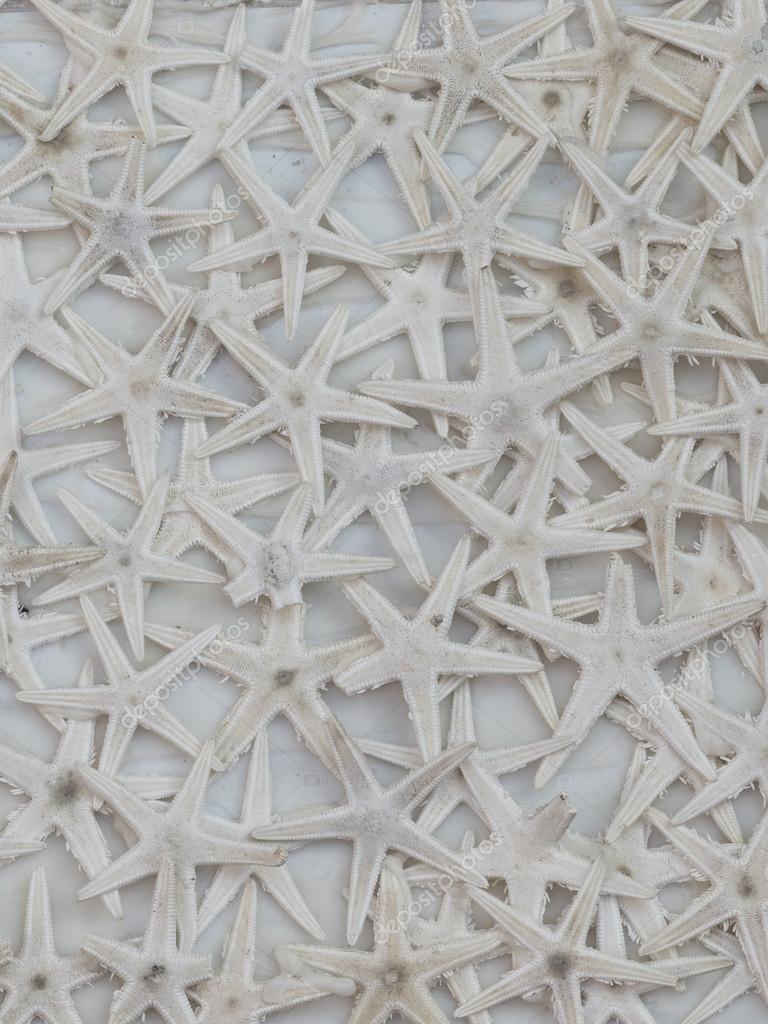 Dried white starfish — Stock Photo © andreevaee #59177299